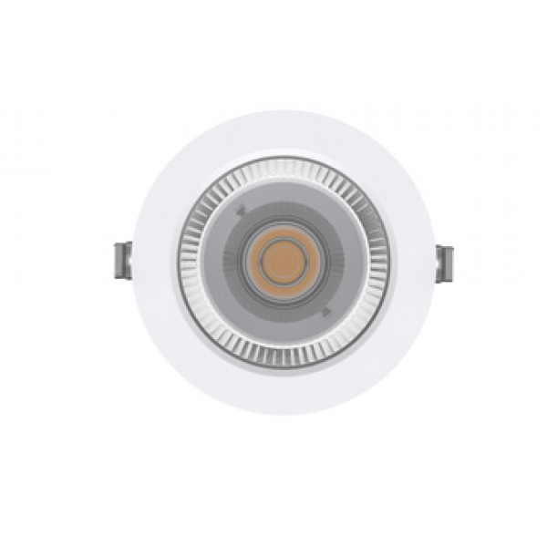 IP65 Waterproof COB Downlight
